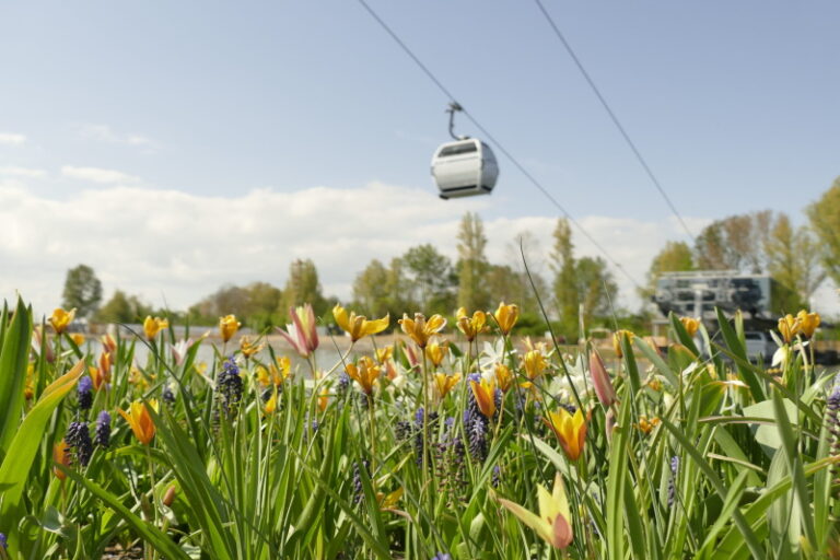 Wat te doen in Almere: 20 tips! | Wereldreizigersclub