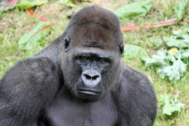 Vakantie op Jersey: 10 tips! | Wereldreizigersclub