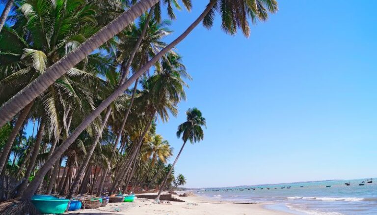 Wat te doen in Mui Ne: 10 tips! | Wereldreizigersclub
