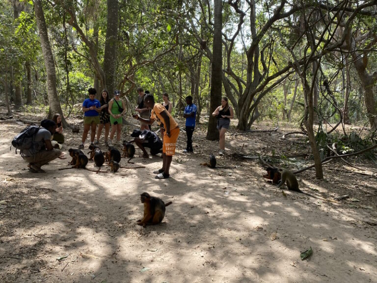 Bijilo Forest Park in Gambia: 5 tips! | Wereldreizigersclub