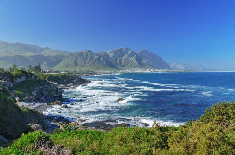 Wat te doen in Hermanus: 10 tips! | Wereldreizigersclub