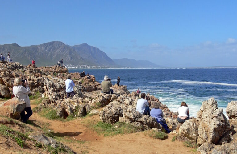 Wat te doen in Hermanus: 10 tips! | Wereldreizigersclub