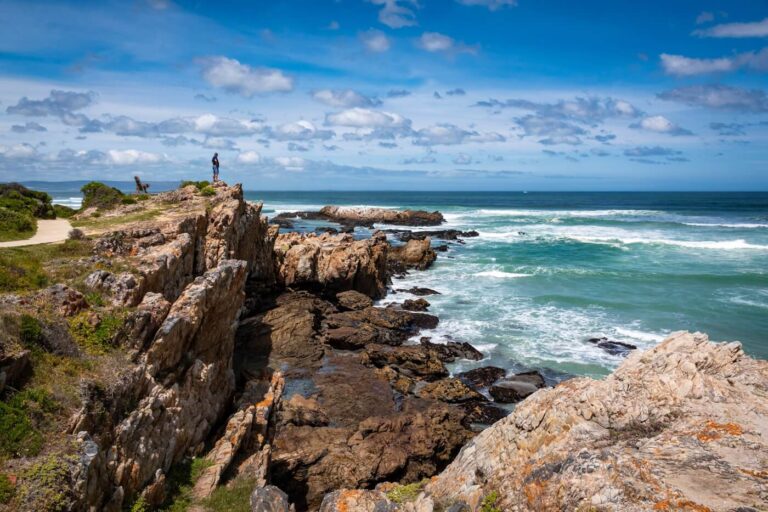 Wat te doen in Hermanus: 10 tips! | Wereldreizigersclub