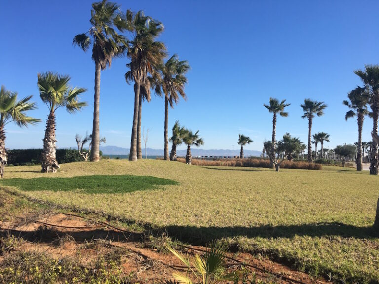 Vakantie in Nador, Marokko: 10 tips! | Wereldreizigersclub