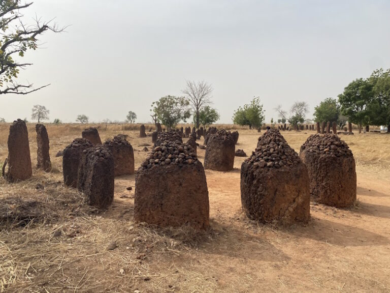 Wassu Stone Circles in Gambia. | Wereldreizigersclub